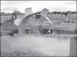 Dethridge wheel community workshop findings - Lower Murray Water